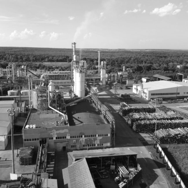 Trade Compliance Review - Global Trade Department